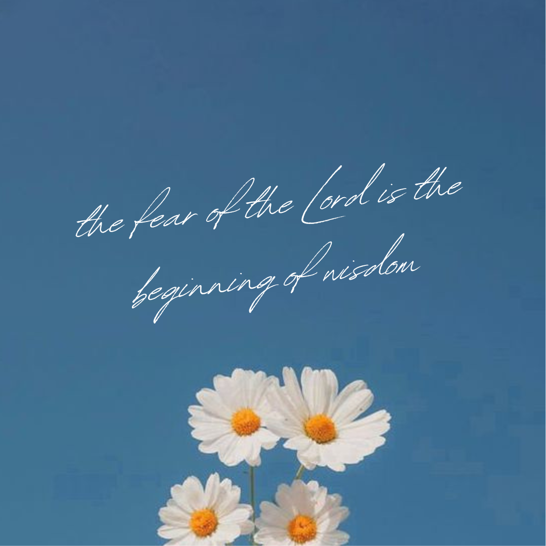 priorities. – originally victoria — unfiltered blog